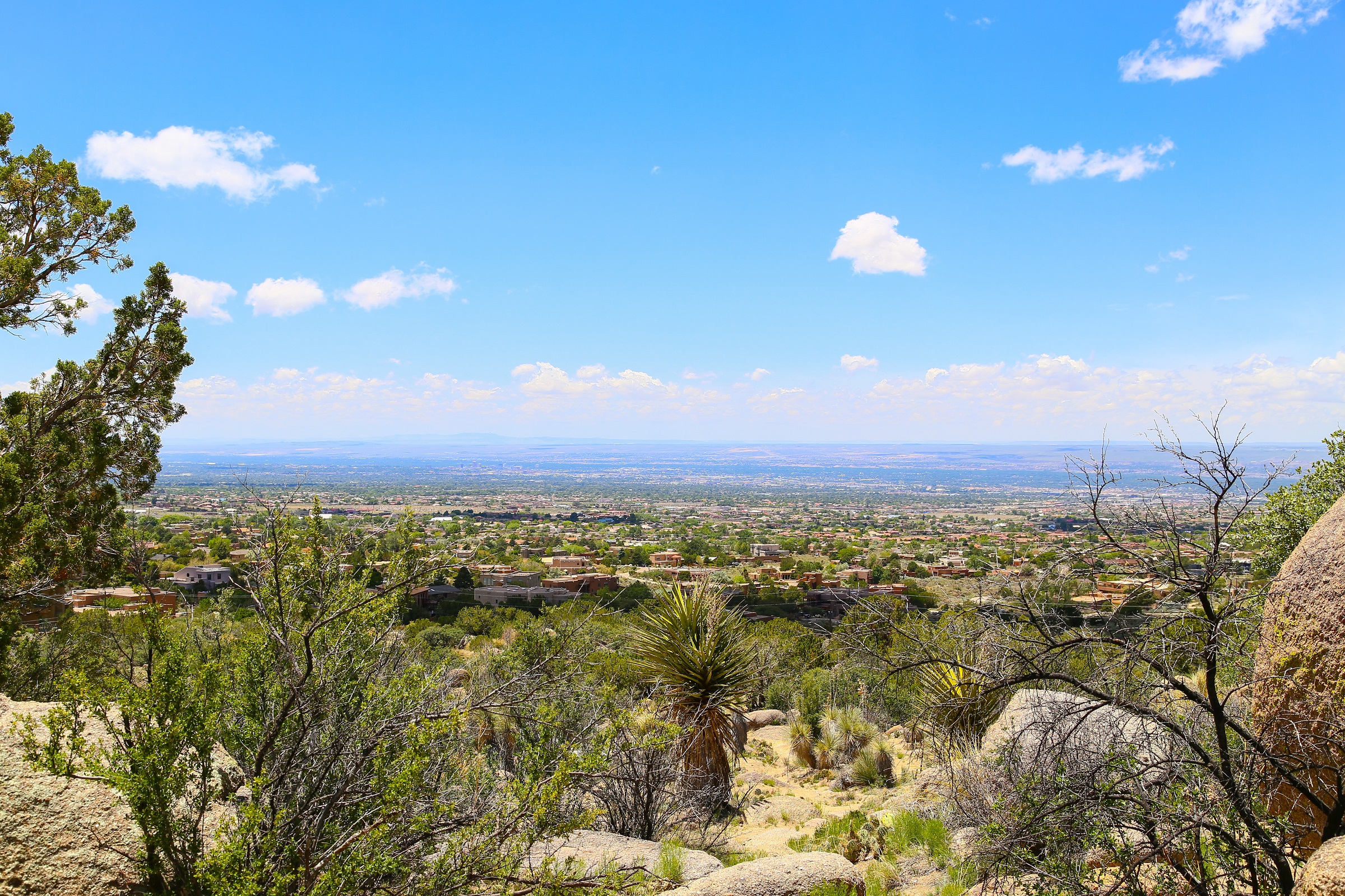 Albuquerque Interactive - Social Media Marketing SMM Services